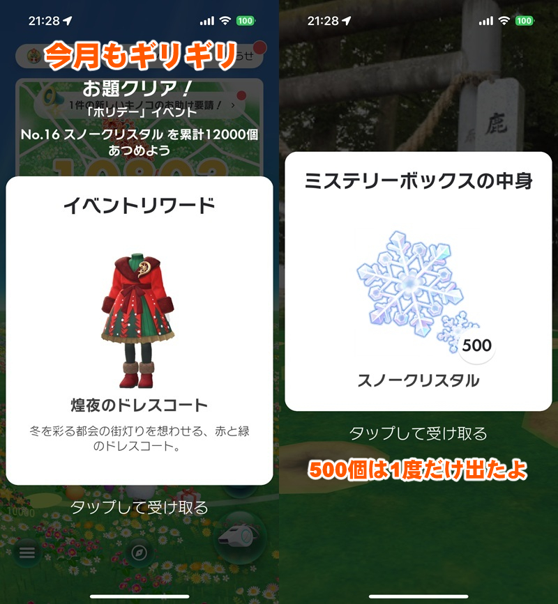 『ピクミン ブルーム』クリスマス気分でもう少し!! 馬子にも衣装なオーナメント2025進捗リポート【プレイログ#1080】 – 連載JP